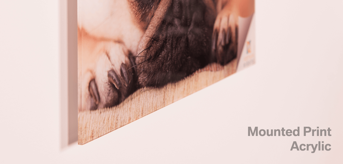 Mounted Acrylic Print | Pixter Studio | Canada