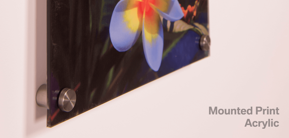 Mounted Acrylic Print | Pixter Studio | Canada