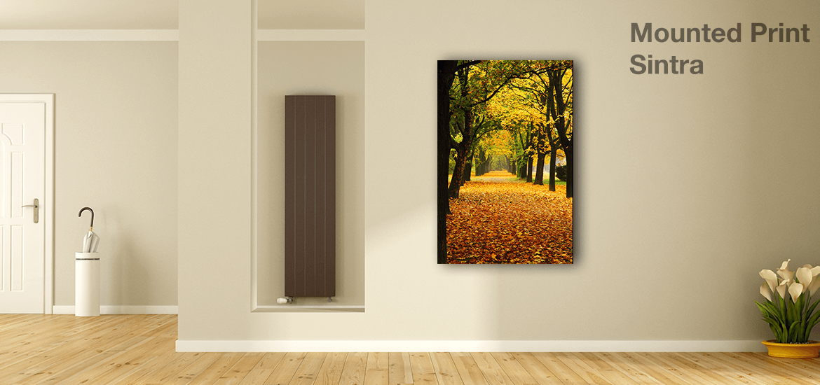 Sintra Mounted Prints | Pixter Studio | Canada
