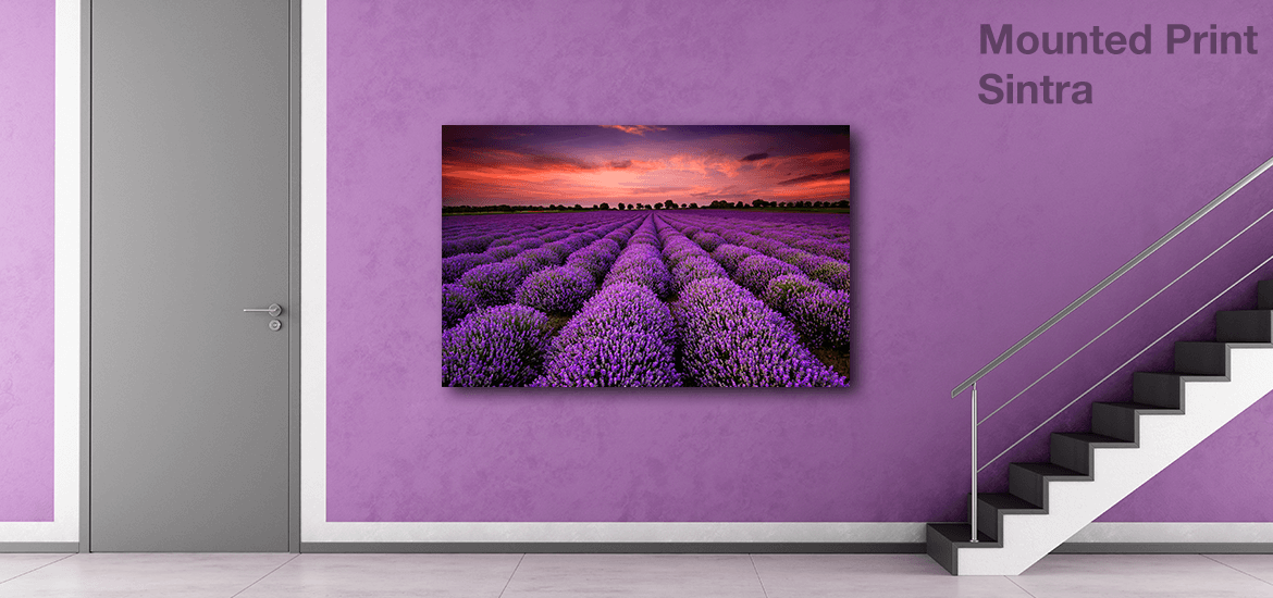 Sintra Mounted Prints | Pixter Studio | Canada